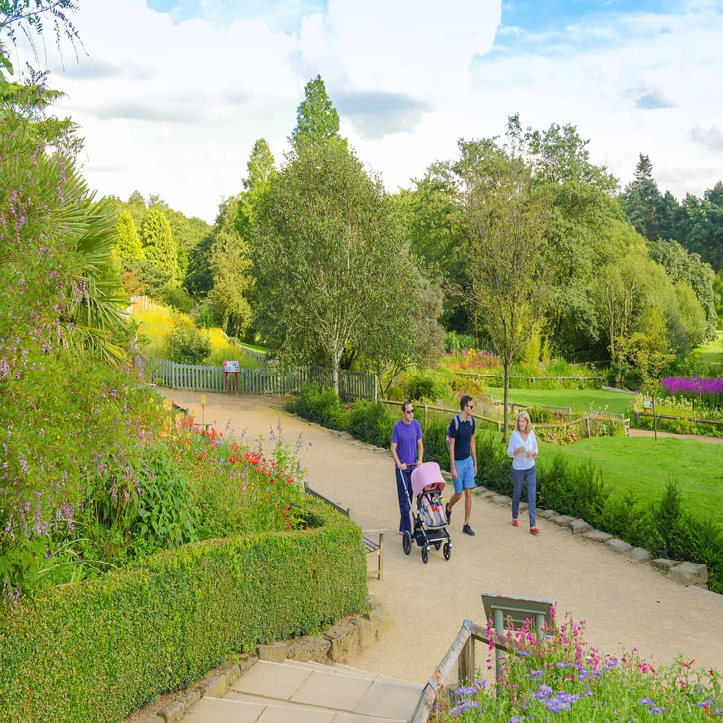 Cookridge Area Guide | Manning Stainton