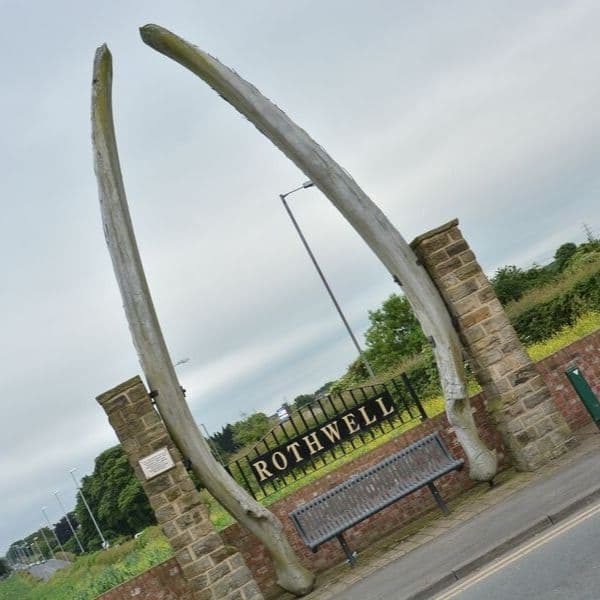 Rothwell Area Guide | Manning Stainton