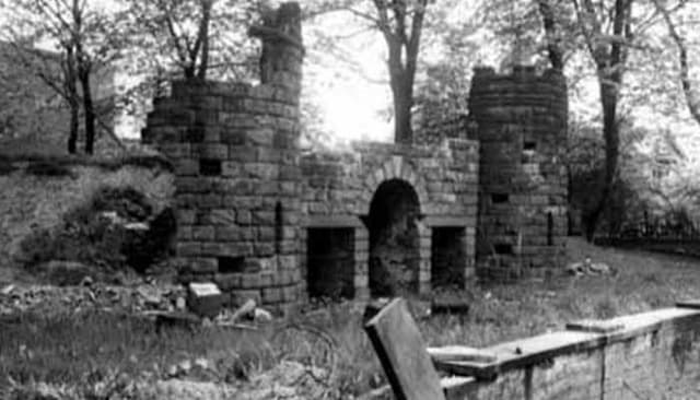 The Curious Tale of the Headingley Bear Pit: Leeds' Forgotten Zoo ...