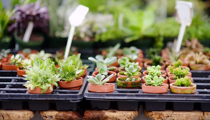 Best Things To Do In Crossgates | Manning Stainton